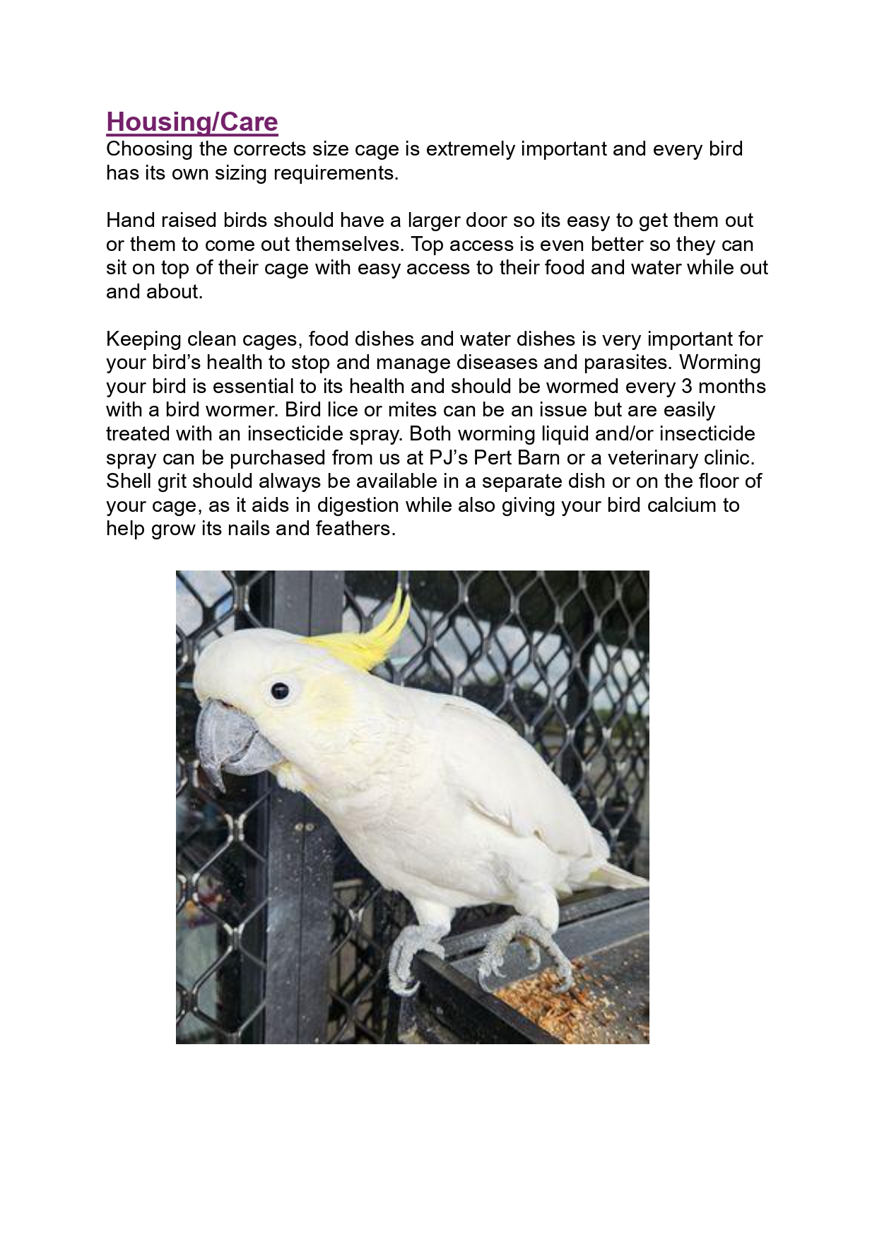 Seed Eating Parrot Care Sheet – PJ's Pet Barn